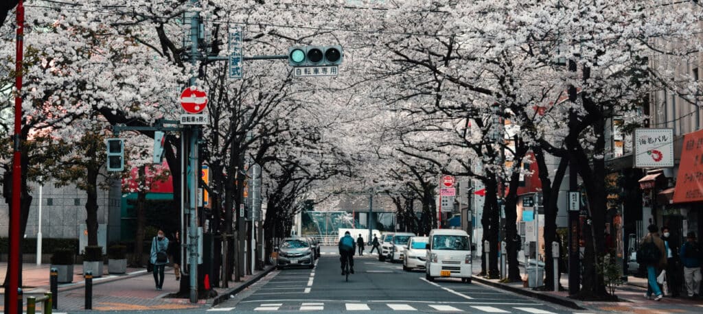 Japan’s PR Fast Track Guide - Japan Remotely