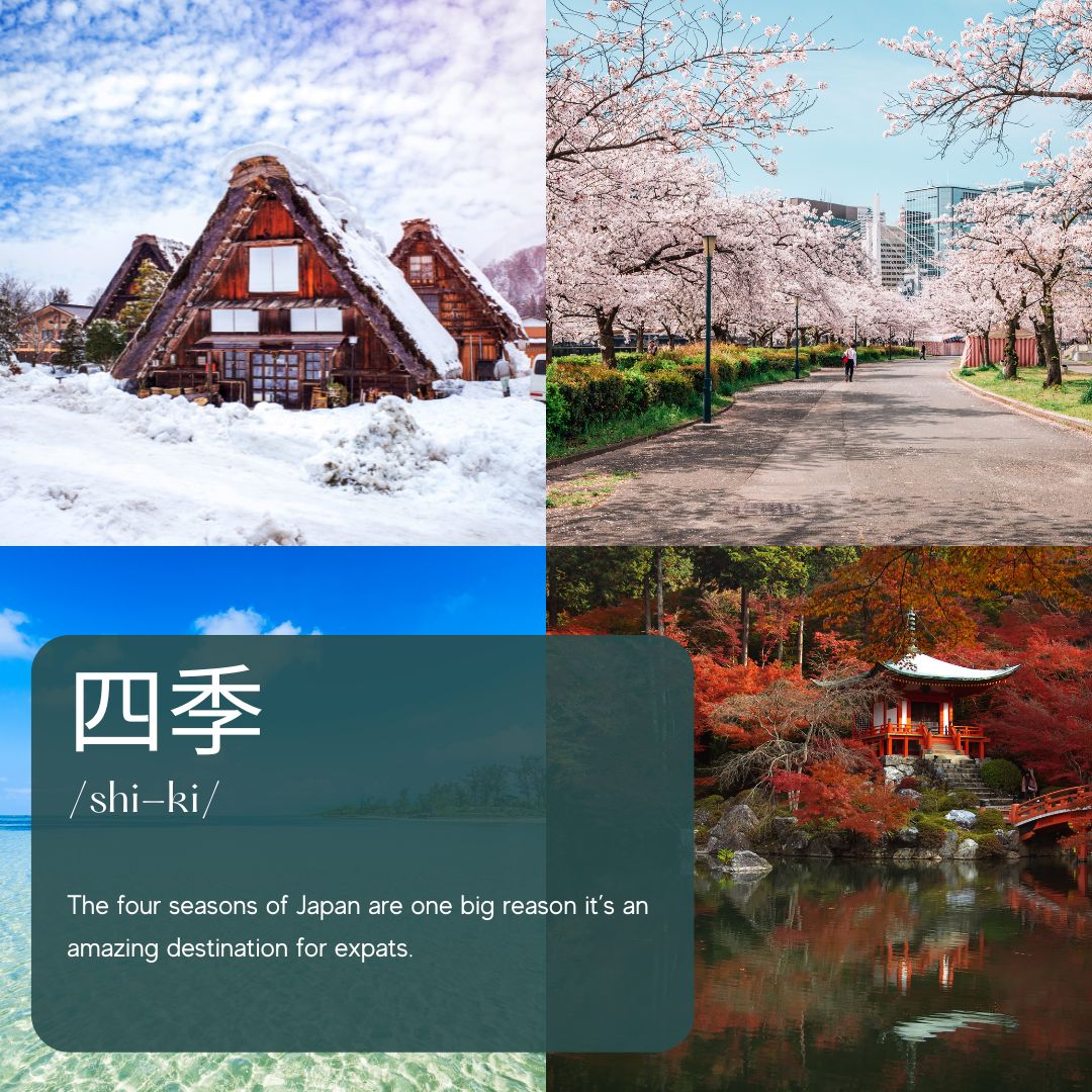 Expat lifestyle showdown: Is Japan or Portugal Better for Expats ...